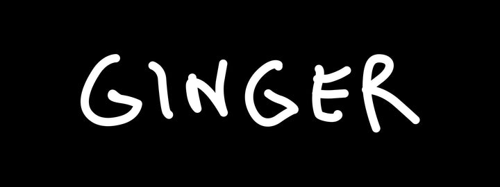 Ginger | Pre + Probiotic Soda | For Gut Support – Good Sh*t
